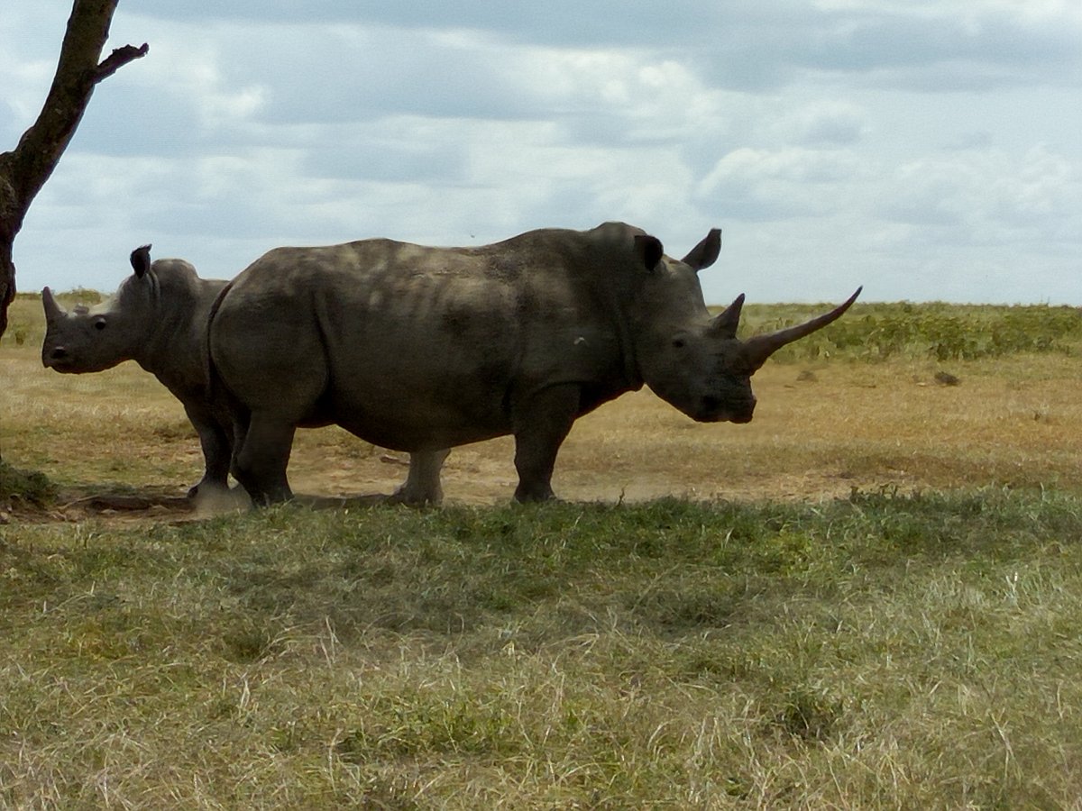 Solio Conservancy - Eric Onsafari Photography and Safaris