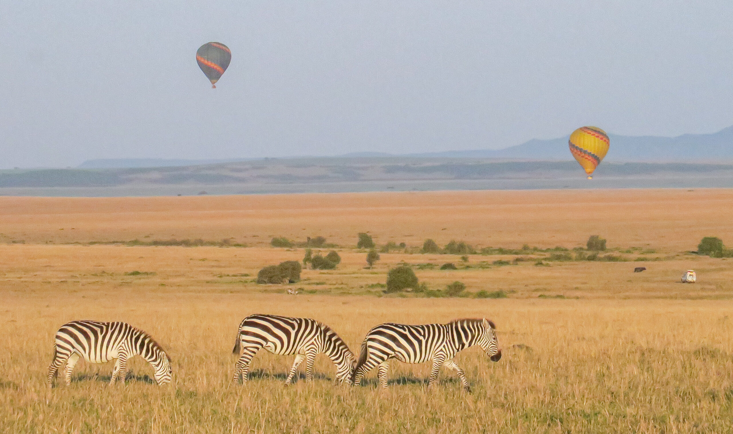 6-Day Tanzania Experience Safari - Eric Onsafari Photography and Safaris